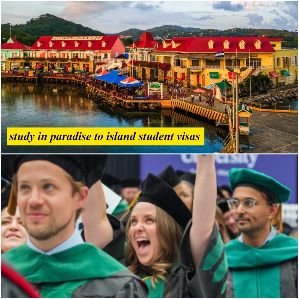 Student Visa for Islands: Studying Abroad in the Caribbean, Malta, and ...